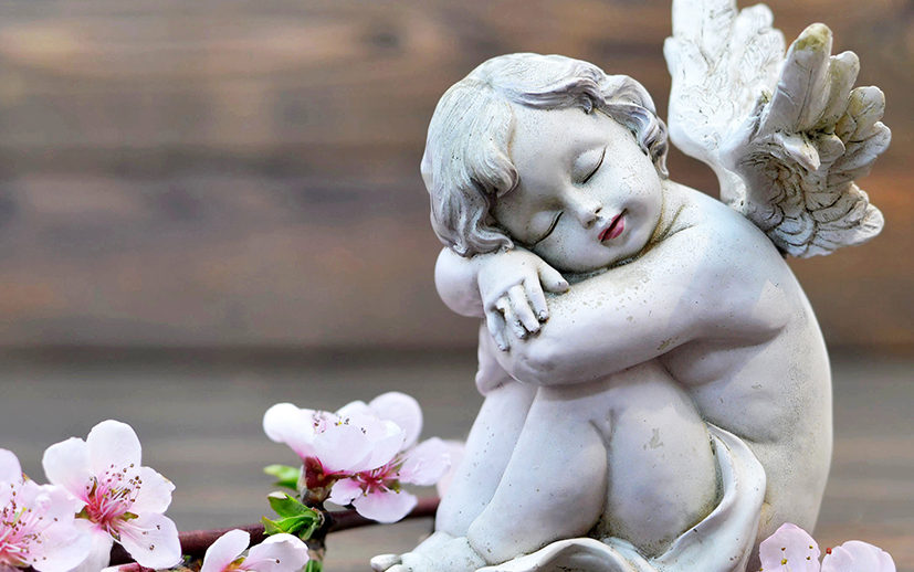 AGAPA dans les medias : interview de Christine Krautter - Agapa